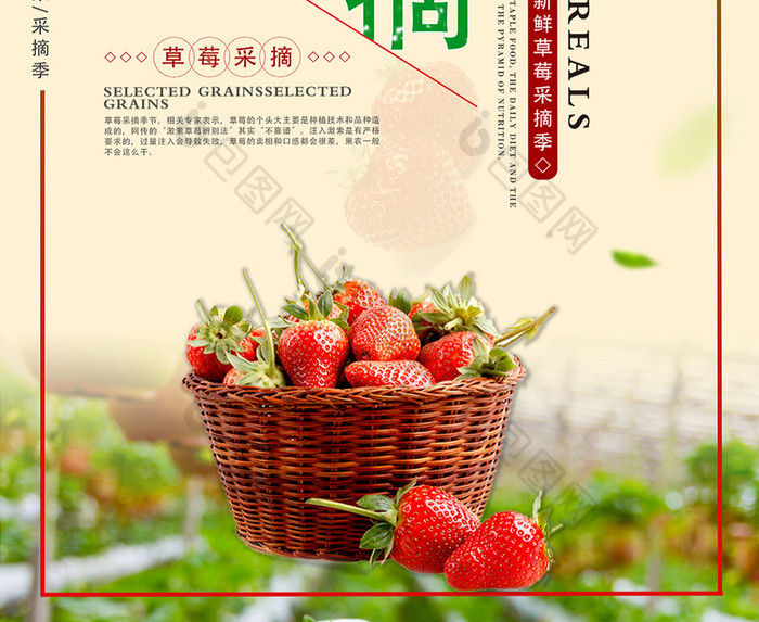 新鲜草莓采摘模板 包图网