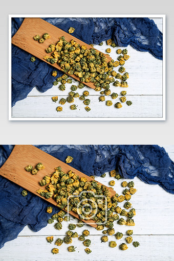 胎菊菊花高清实拍图摄影图1024 1540图片素材免费下载 编号1279111 潮点视频