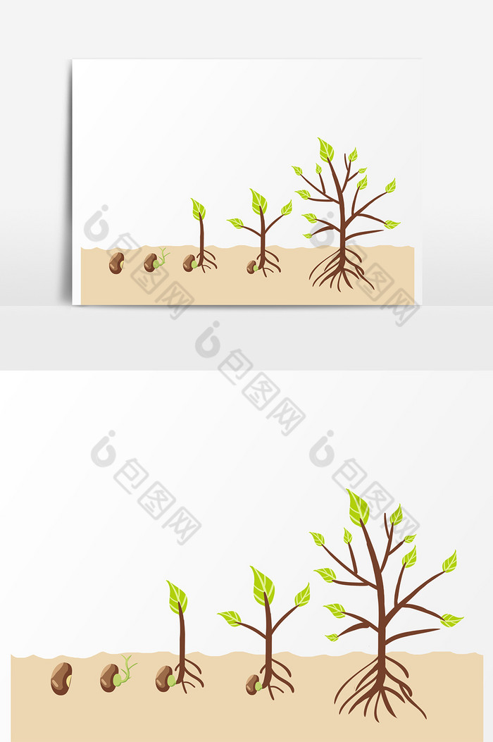 种子发芽过程png下载 包图网