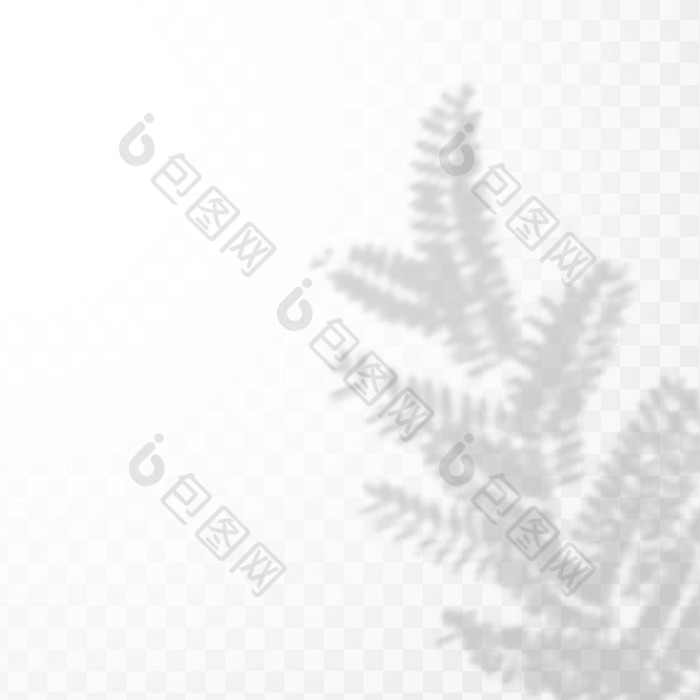 的效果覆盖阴影自然光布局现实的影子热带叶png下载 包图网