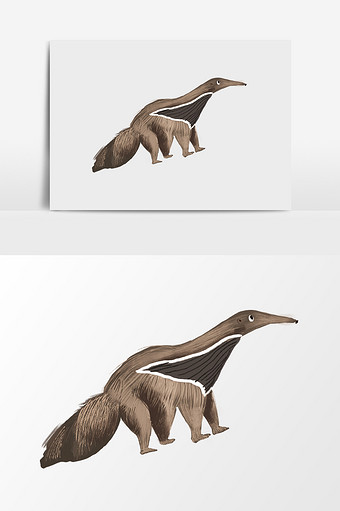 食蚁兽图片大全_食蚁兽素材下载-包图网