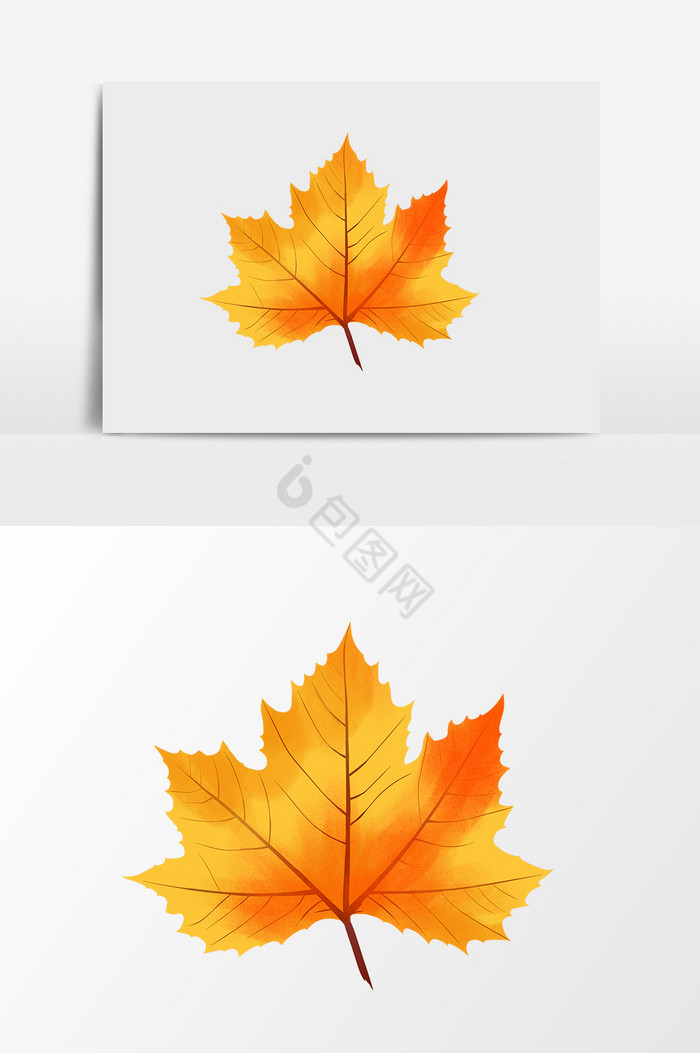 枫叶卡通图片-枫叶卡通素材免费下载-包图网