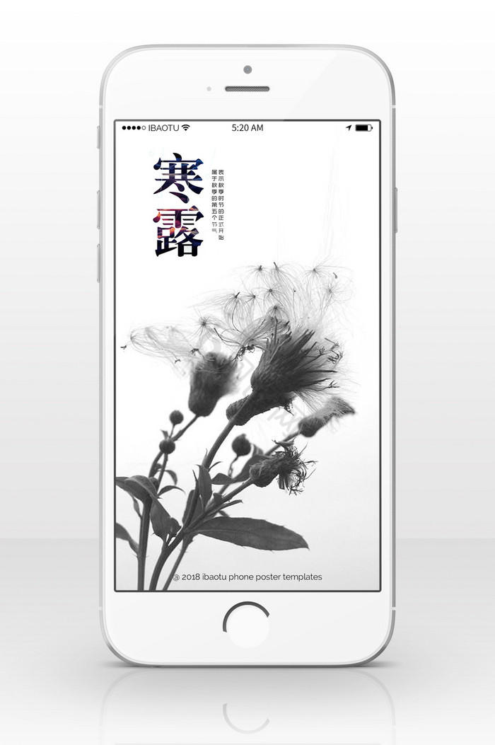 黑白花图片-黑白花素材免费下载-包图网