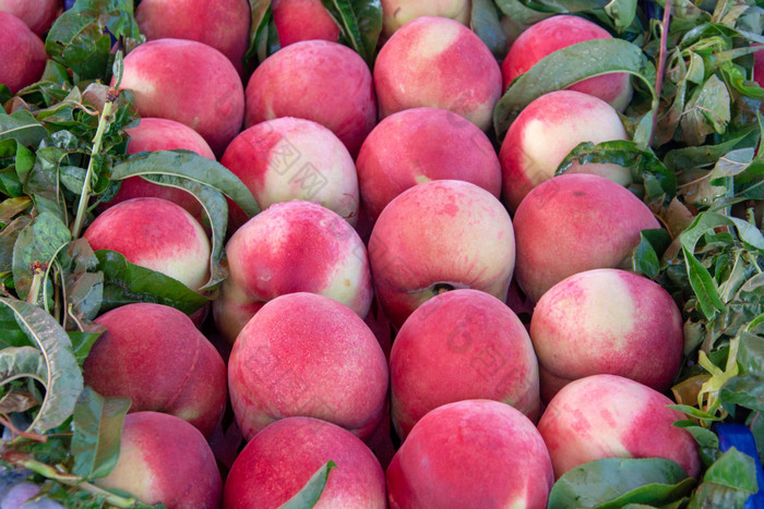 大红袍鲜桃图片-包图网企业站