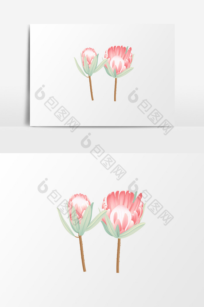 气质粉红花卉春天三八女神节png下载-包图网