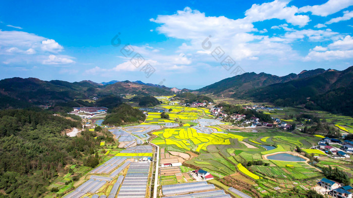 美丽乡村田园油菜花农业种植图片-包图网企业站