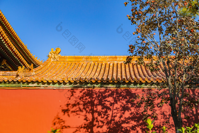 北京故宫博物院的秋季景观图片-包图网企业站