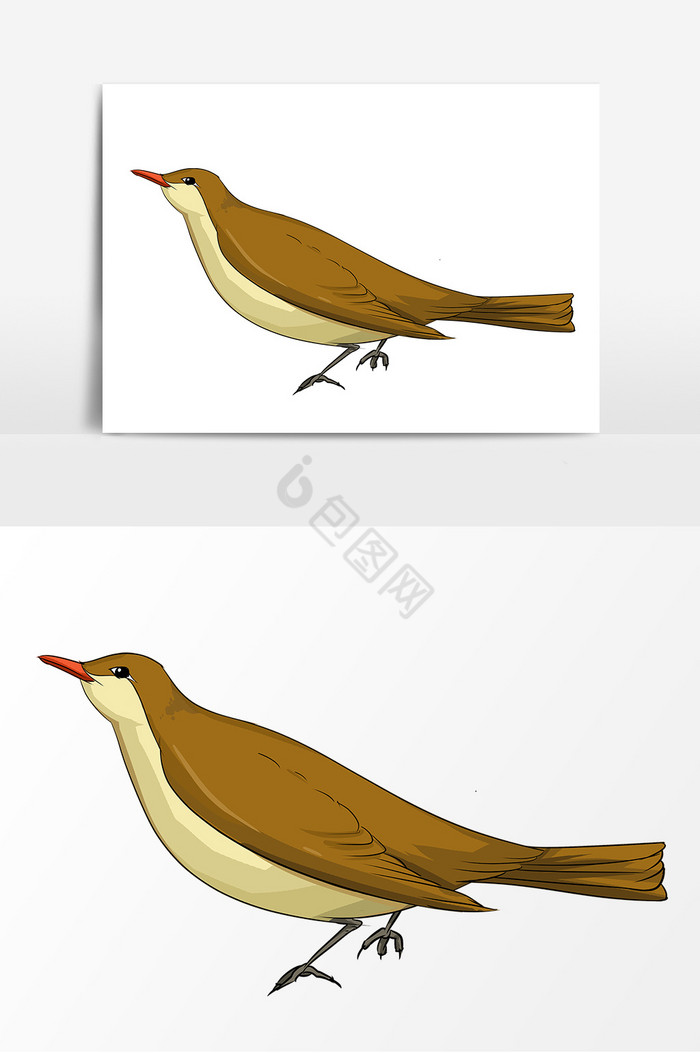 夜莺图片-夜莺素材免费下载-包图网