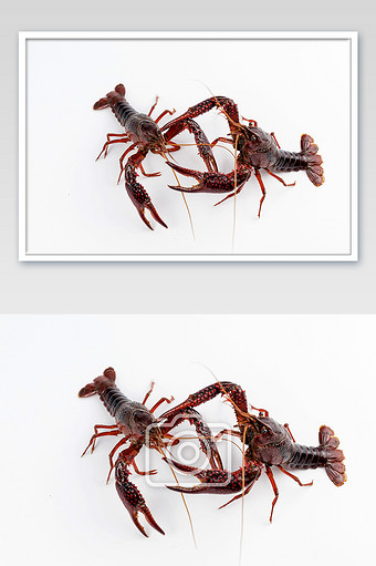 美食小龙虾摄影图6574*4383图片素材免费下载-编号812126-潮点视频