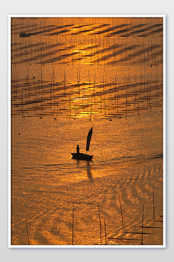 金色大海渔民赶海劳作渔船帆摄影图1024*1542图片素材免费下载-编号1318815-潮点视频