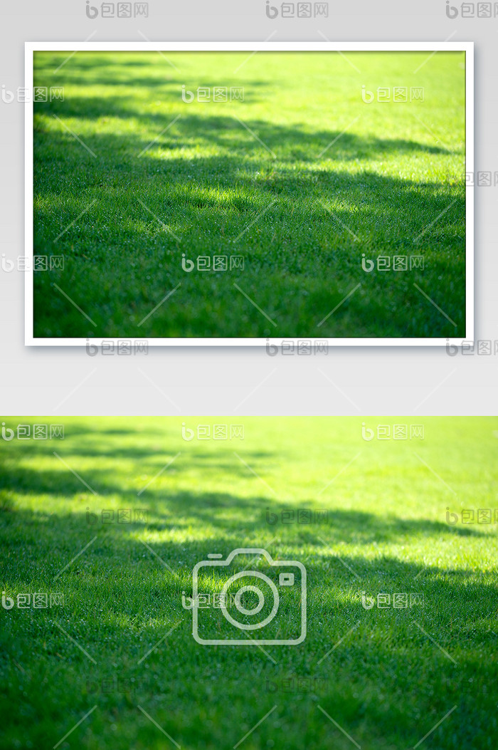 挂满露珠的绿色草地图片-包图网