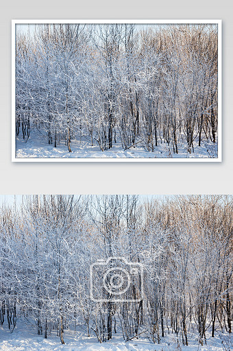 雾凇树挂树林白雪皑皑摄影图1024*1540图片素材免费下载-编号1325908-潮点视频
