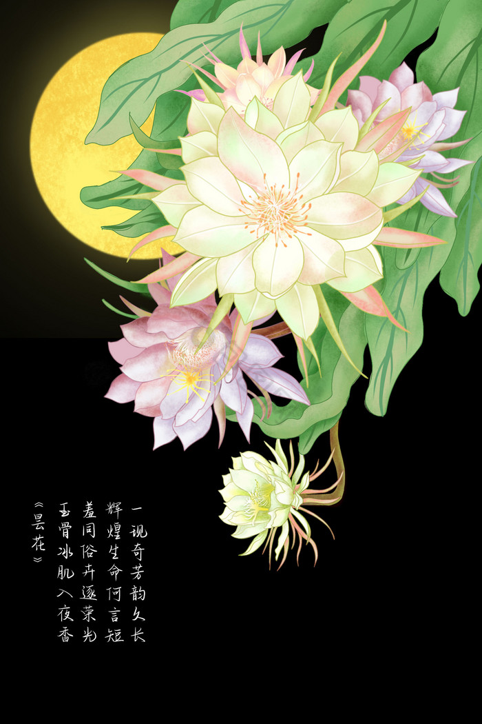 昙花一现的过程图片-昙花一现的过程素材免费下载-包图网