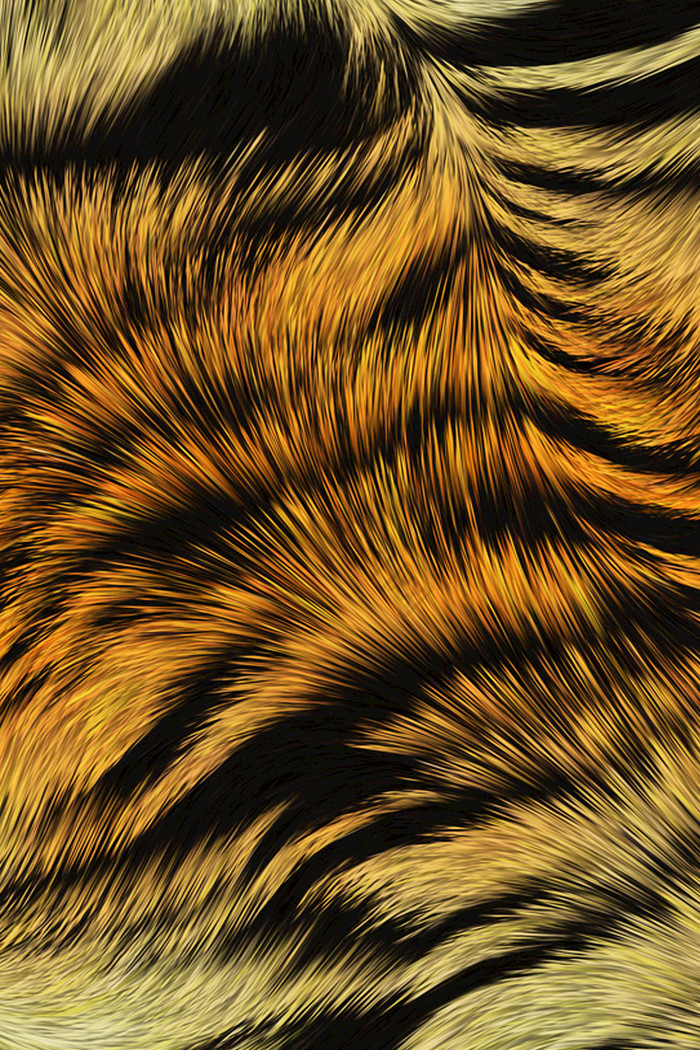 动物毛发图片-动物毛发素材免费下载-包图网