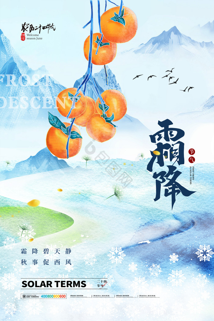 弥散光柿子二十四节气霜降模板-包图网