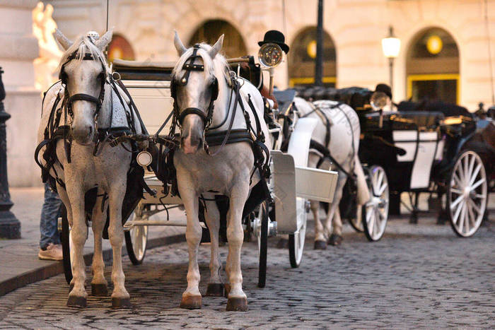 奥地利维也纳欧洲的飞马图片-包图网企业站