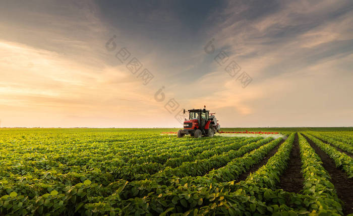 大豆田喷洒杀虫剂的拖拉机图片-包图网企业站