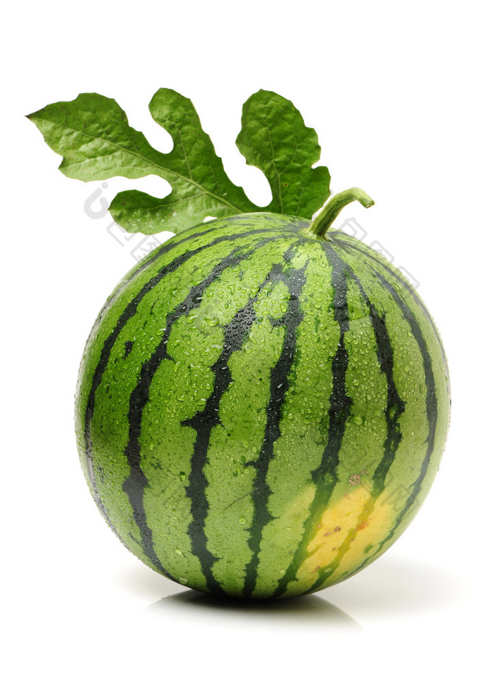 西瓜高清图片下载-西瓜图片-西瓜素材-包图网企业站