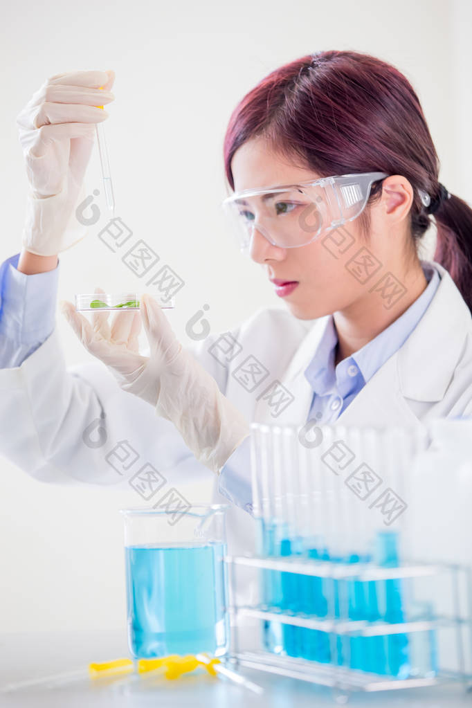 科学家拿着培养皿与绿色植物在实验室特写文 包图企业站 1085