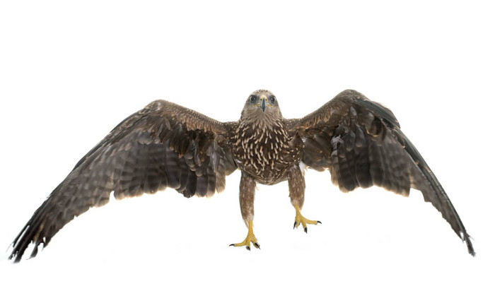 常见的卑鄙的小人工作室图片-包图网企业站