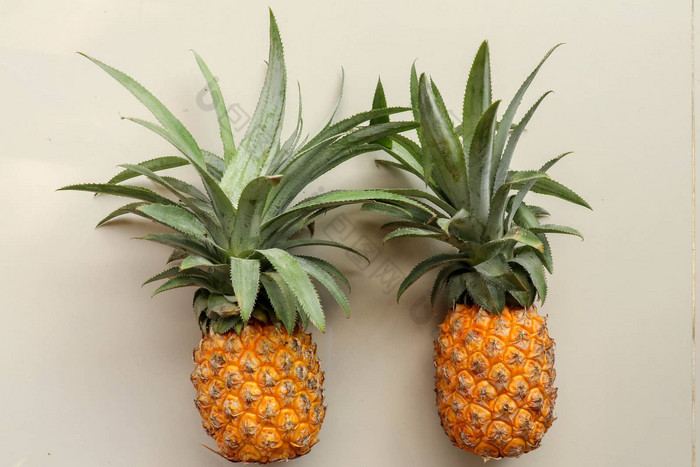 夫妇菠萝热带水果菠萝孤立的白色背景菠萝叶图片-包图网企业站