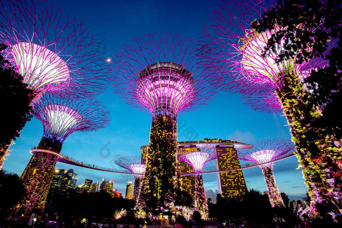 新加坡月超级树花园湾图片-包图网企业站