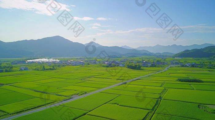 田园风光景象稻田图片-包图网企业站