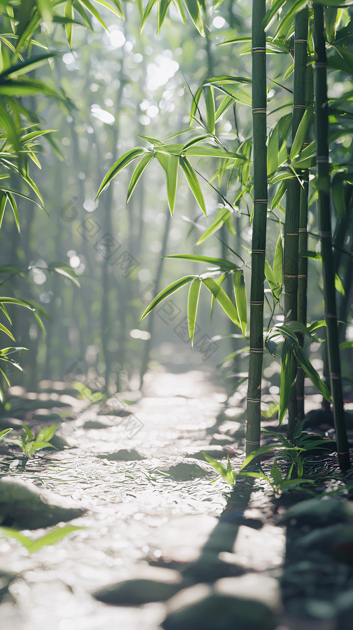 阳光透过竹林小路清新图片图片-包图网企业站