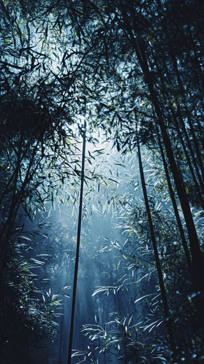 竹林深处光线透射图片-包图网企业站