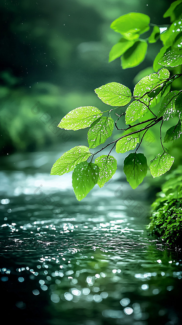 清新自然流水绿叶背景图片-包图网企业站