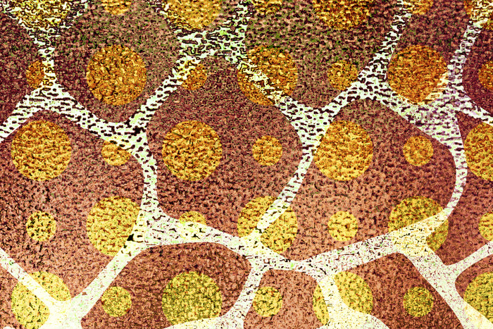 烫金花纹插画模板-包图网