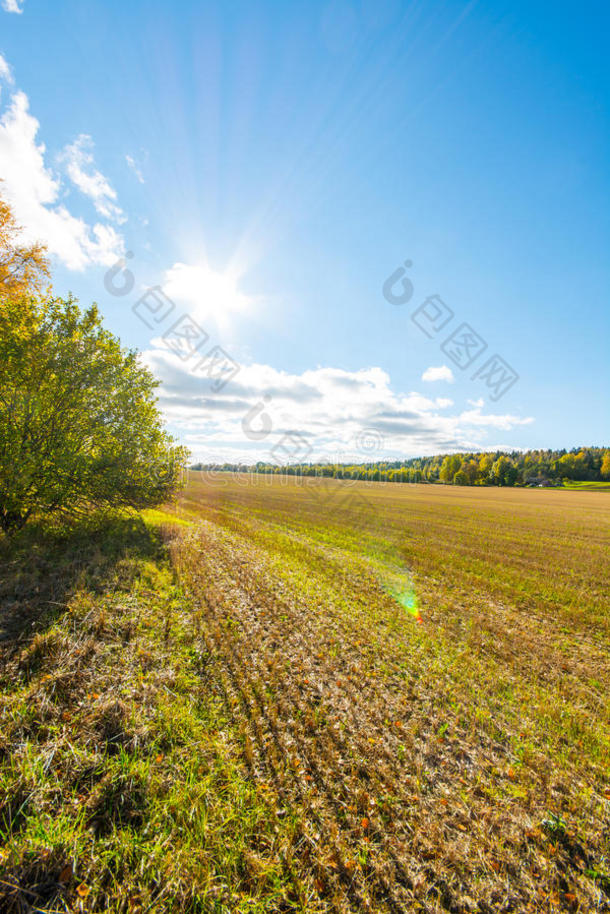 秋天的风景五彩缤纷的晴天绿色的田野和黄色图片-包图网企业站