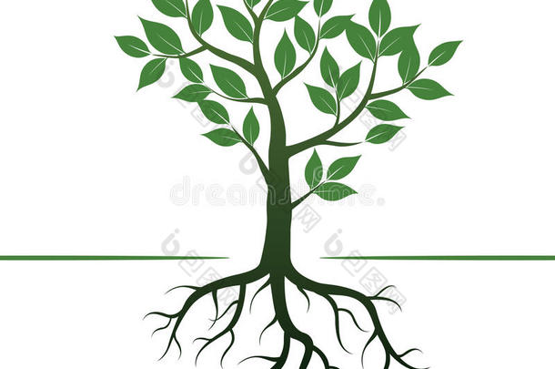 绿树和树根矢量插图图片-包图网企业站