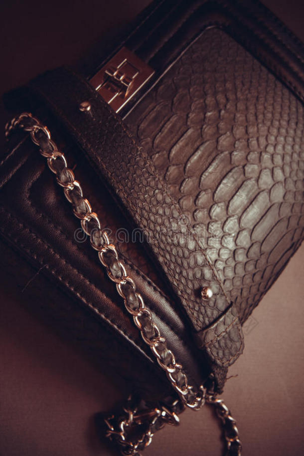 昂贵的蛇皮袋图片-包图网企业站