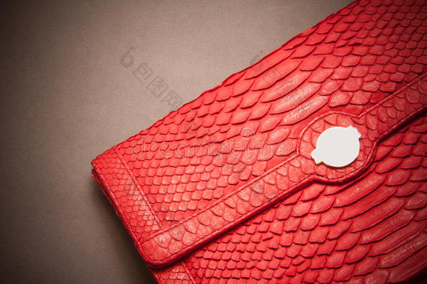 昂贵的蛇皮袋图片-包图网企业站