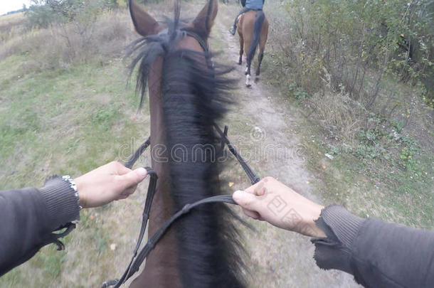 第一人称骑马的观点骑手在大自然中行走的观图片 包图网企业站