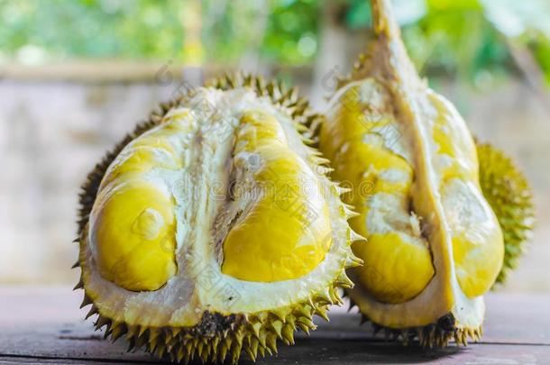 榴莲果撕裂了和新鲜的榴莲果剥皮和黄色的颜-包图企业站