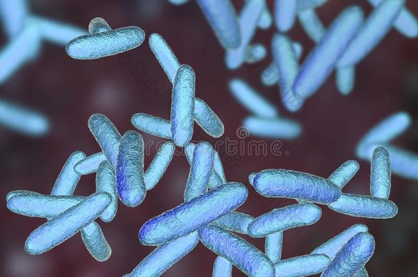 细菌柠檬酸杆菌绿豆消极的象大肠菌的细菌采图片-包图网企业站