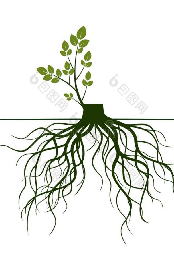 树根标识矢量苹果树和根图片-包图网企业站