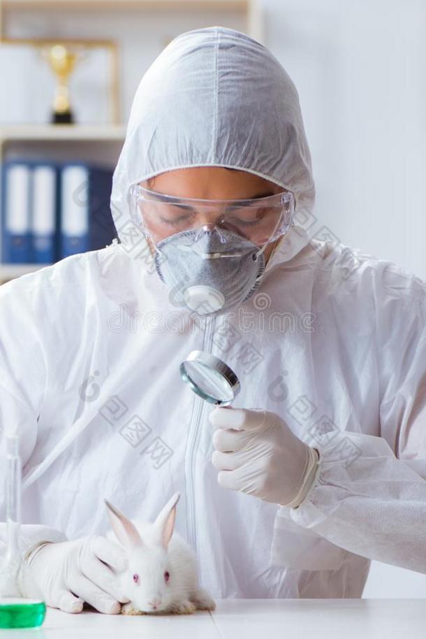 科学家做动物实验采用实验室和兔子图片-包图网企业站